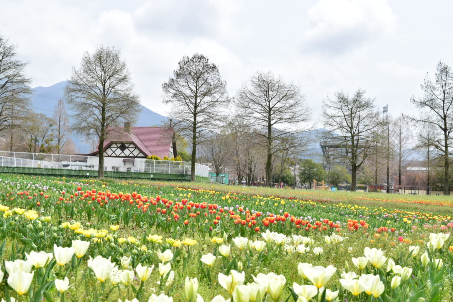 IMG_6957 ｜ 滋賀農業公園ブルーメの丘【公式】-大人も子供も楽しめるアウトドア・アクティビティ-｜